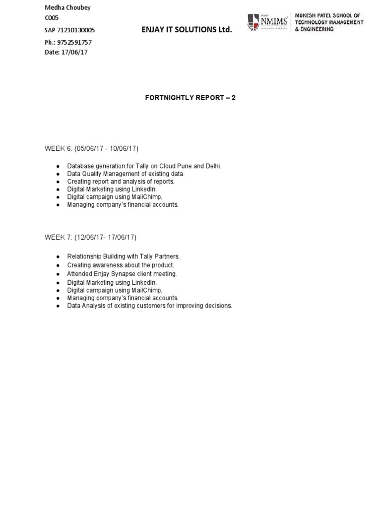 Fortnightly Report for IT Managers | PDF