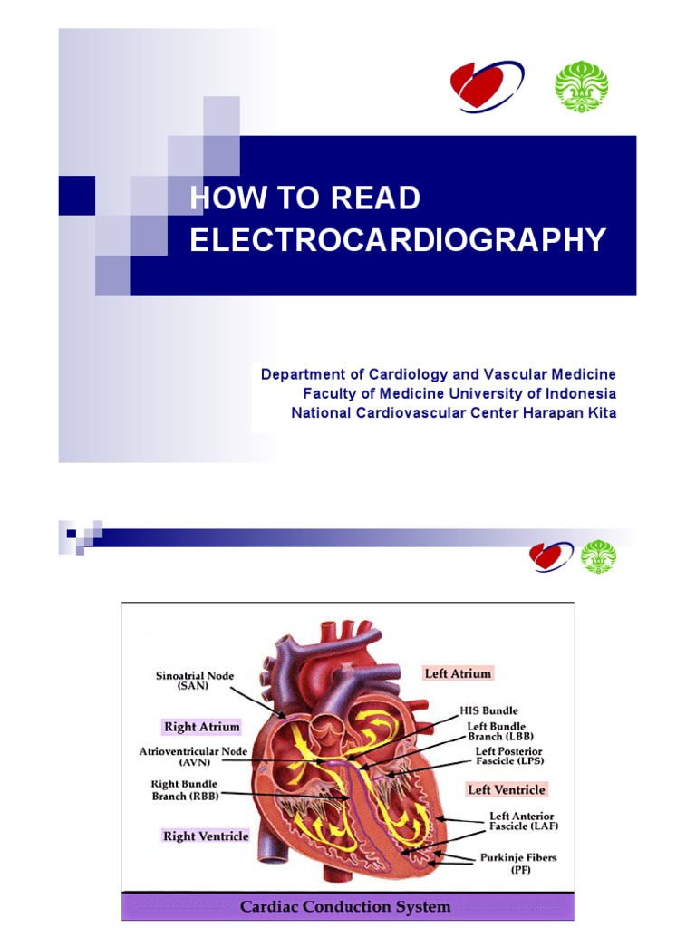 How To Read Ecg | PDF | Electrocardiography | Electrophysiology