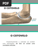 Cotovelo - Cópia | PDF | Cotovelo | Tecido macio