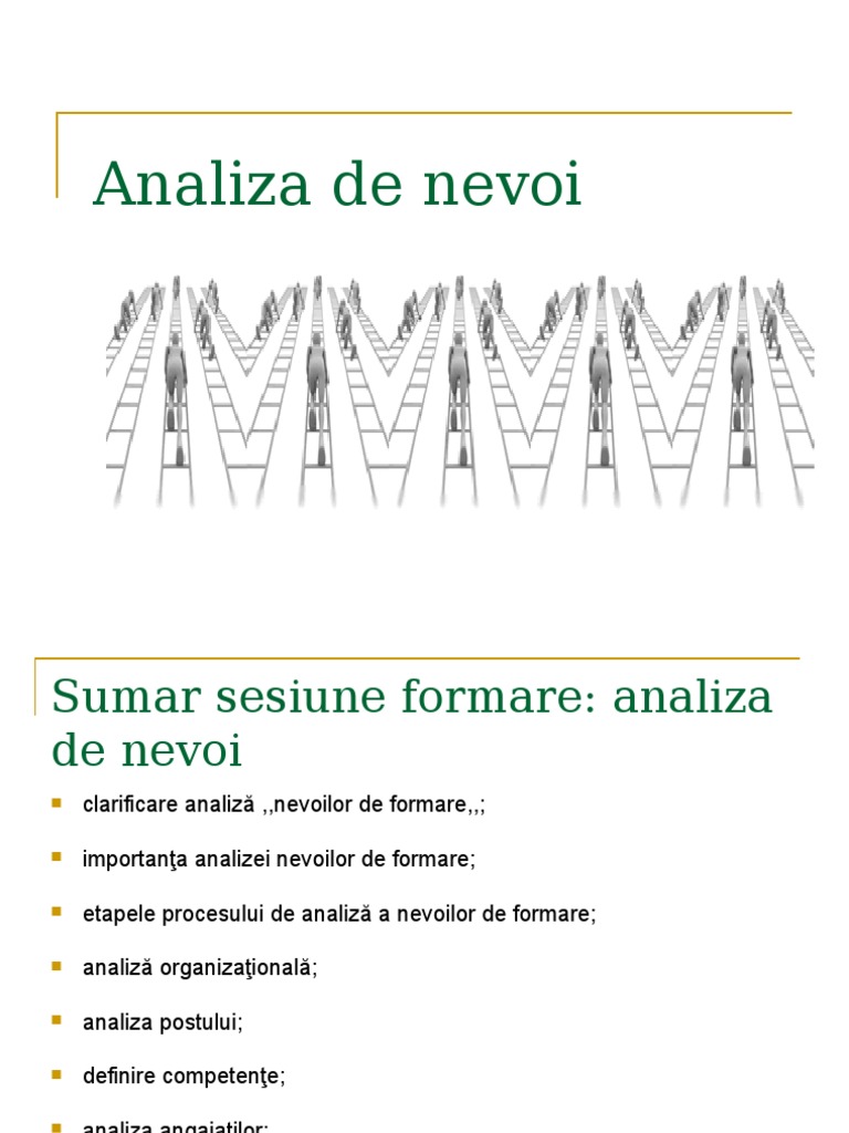 Analiza de Nevoi