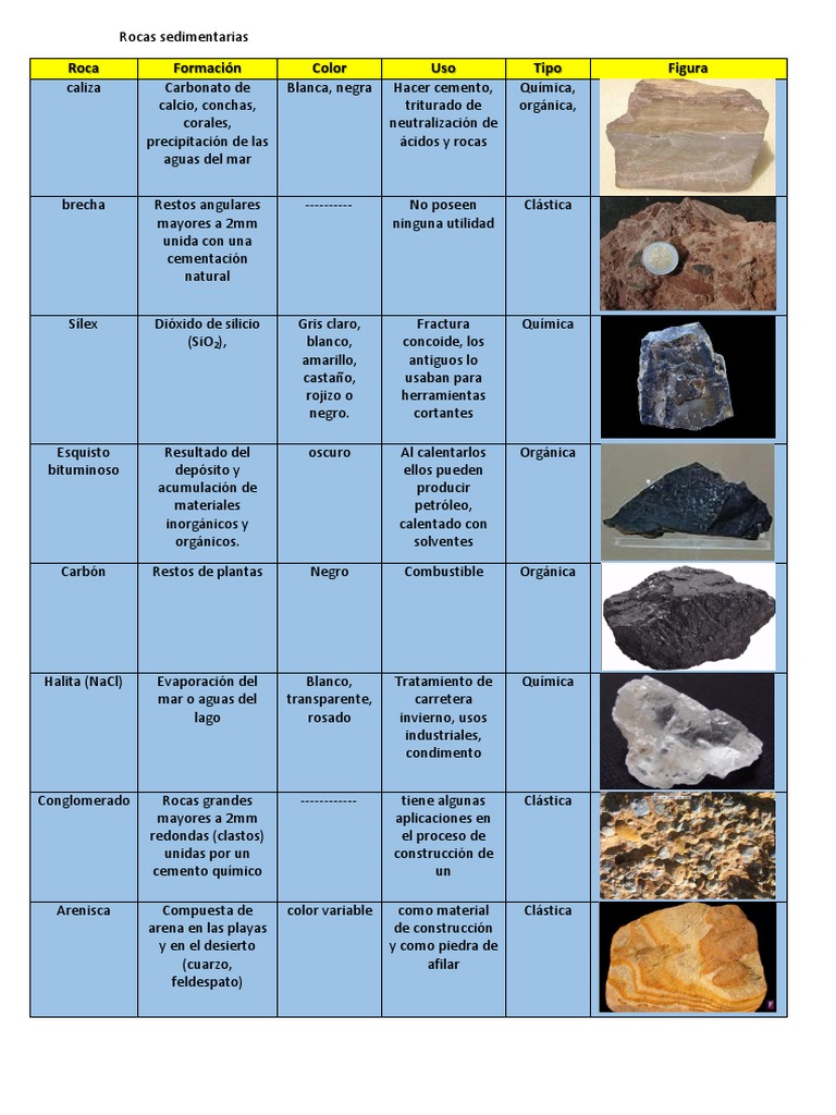 Las Rocas Sedimentarias | Rocas sedimentarias, tipos, clasificación y ...