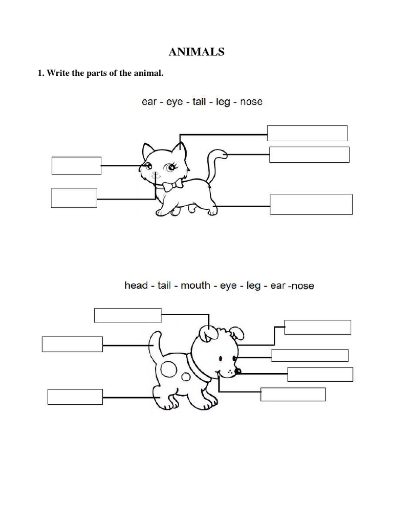 Parts of The Animals | PDF