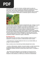 Cuentos de Otoño | PDF | Arboles | Velocidad del viento