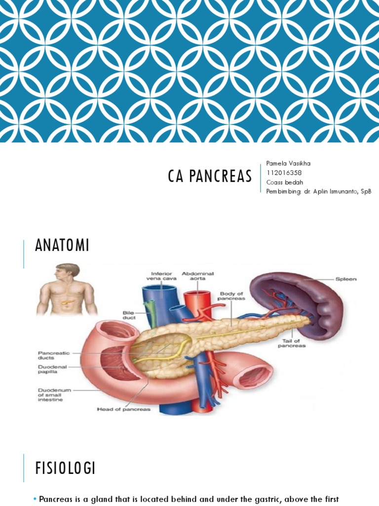 PPT Referat CA Pancreas | Pancreatic Cancer | Pancreas