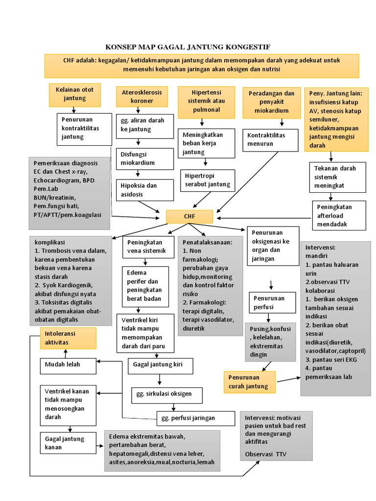 Pathway CHF | PDF