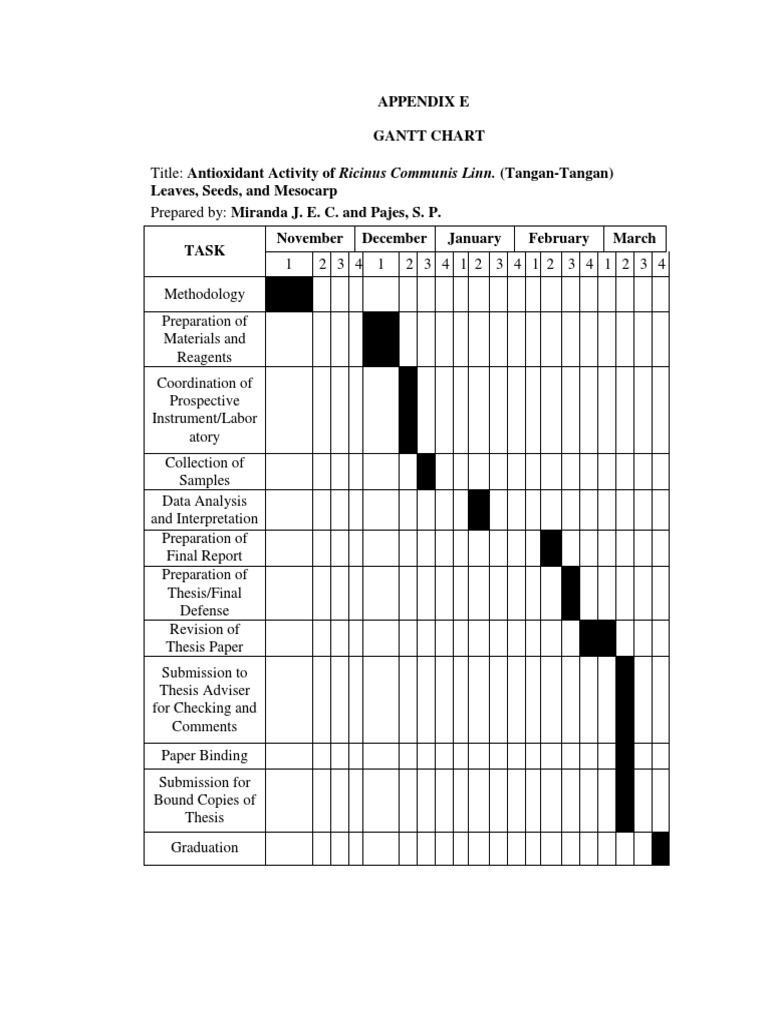 9 - Gantt Chart | PDF