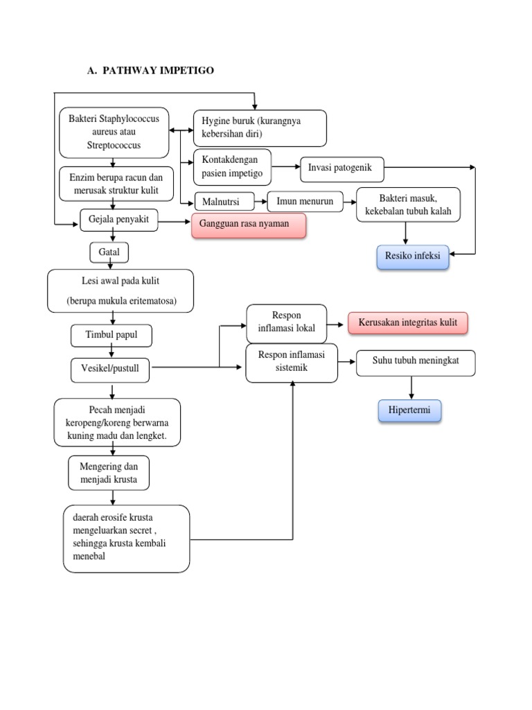 Pathway Impetigo | PDF