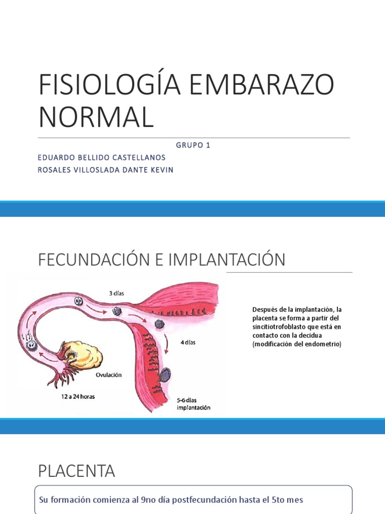 Fisiología Embarazo Normal | Placenta | El embarazo
