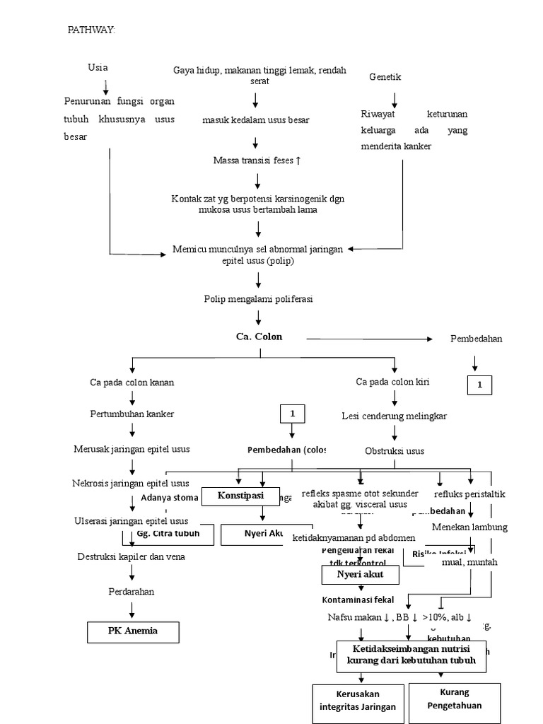 Pathway Ca Kolon RARAS | PDF