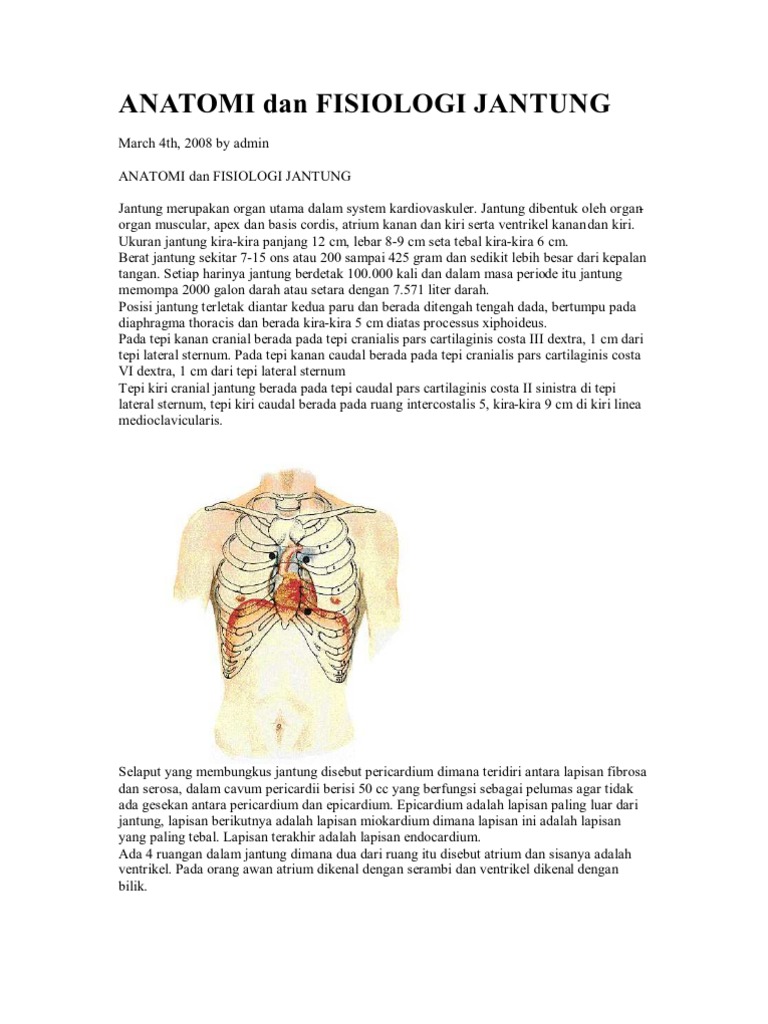 Anatomi Dan Fisiologi Jantung