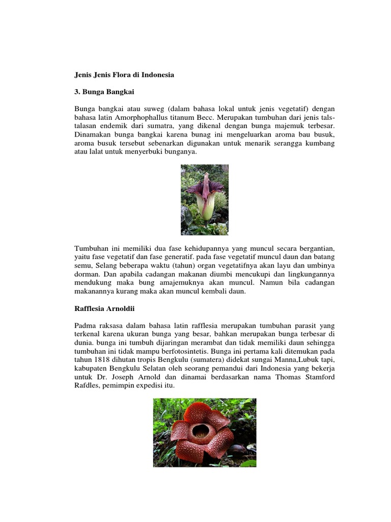 Jenis Jenis Flora Di Indonesia1 | PDF