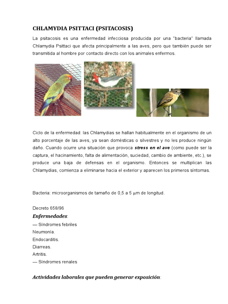 Psitacosis (Clamydia Psittaci) | PDF | Infección | Aves