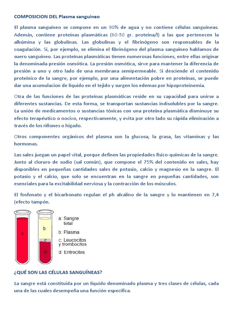 Composición y funciones del plasma sanguíneo | PDF | Sangre | Leucocito