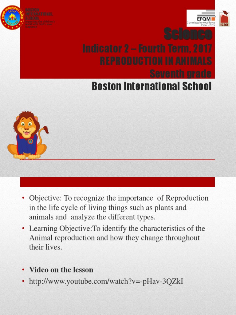 Animal Reproduction for Seventh Graders | PDF | Amphibian | Egg