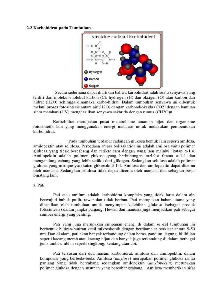 Klasifikasi Karbohidrat | PDF