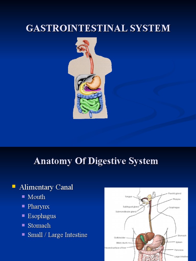 Gi System | PDF | Gastrointestinal Tract | Stomach