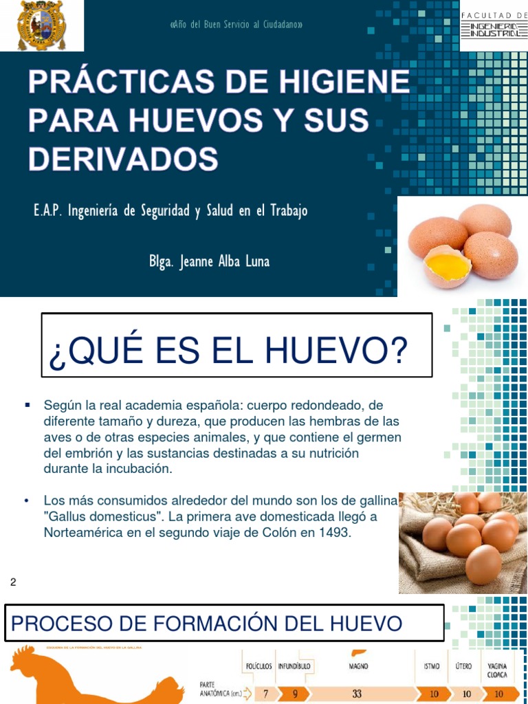 Huevos.ppt | Huevo como alimento | Análisis de Riesgo y Puntos Críticos ...