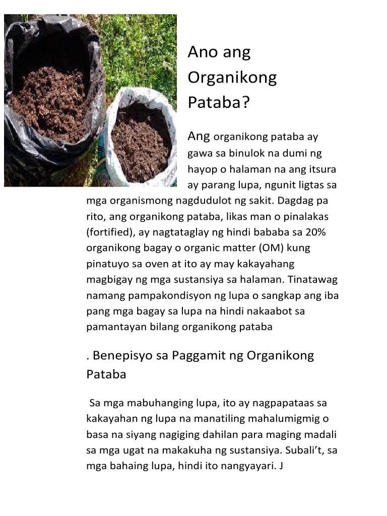 Ano Ang Organikong Pataba | PDF