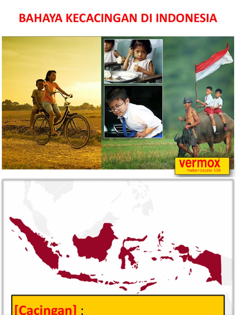 Power Point Kecacingan | PDF