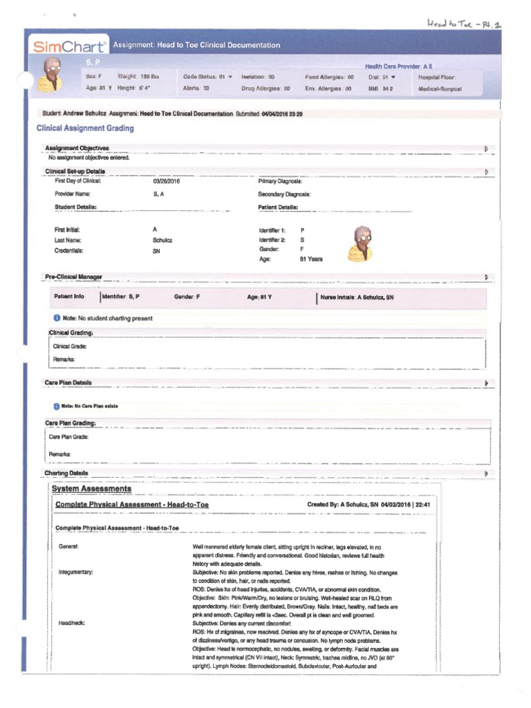 Simchart Sample | PDF