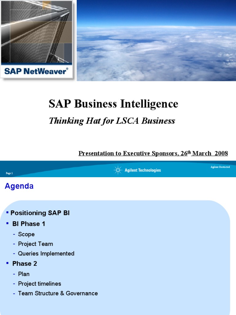 SAP BI Executive | PDF | Business | Enterprise Resource Planning