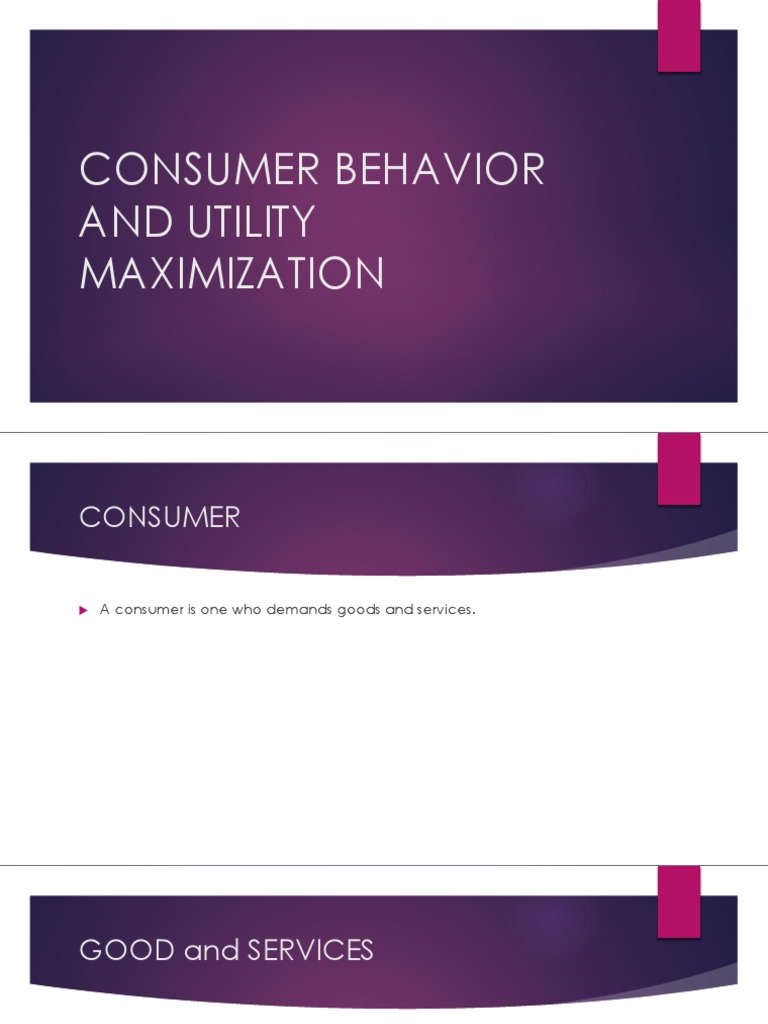 Consumer Behavior and Utility Maximization | PDF | Utility | Marginal ...