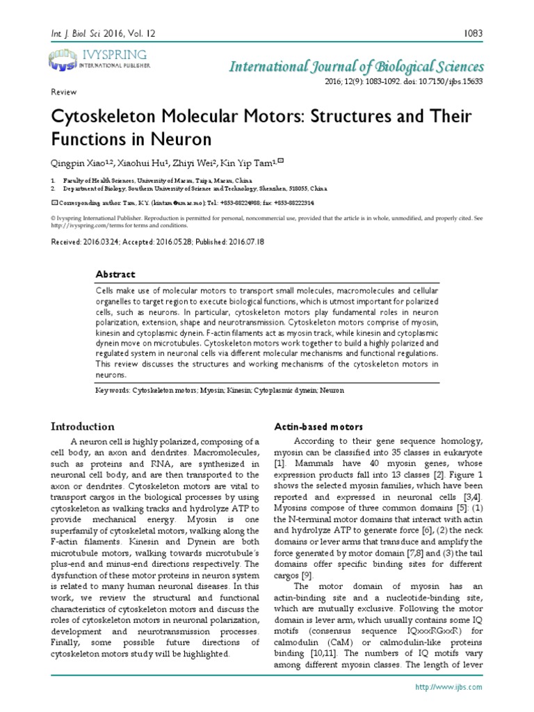 Cytoskeleton Molecular Motors: Structures and Their Functions in Neuron ...