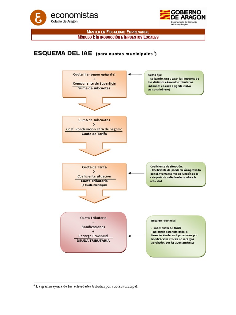 IAE Esquema | PDF
