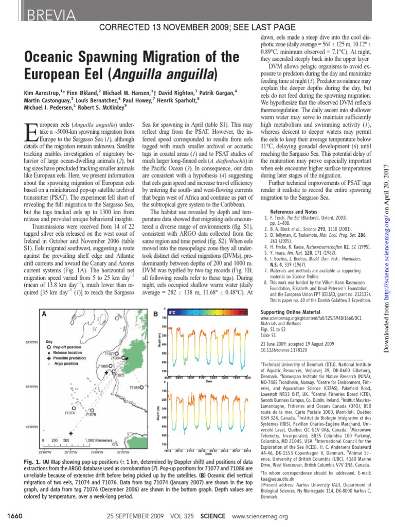 Oceanic Spawning Migration of The European Eel (Anguilla Anguilla ...