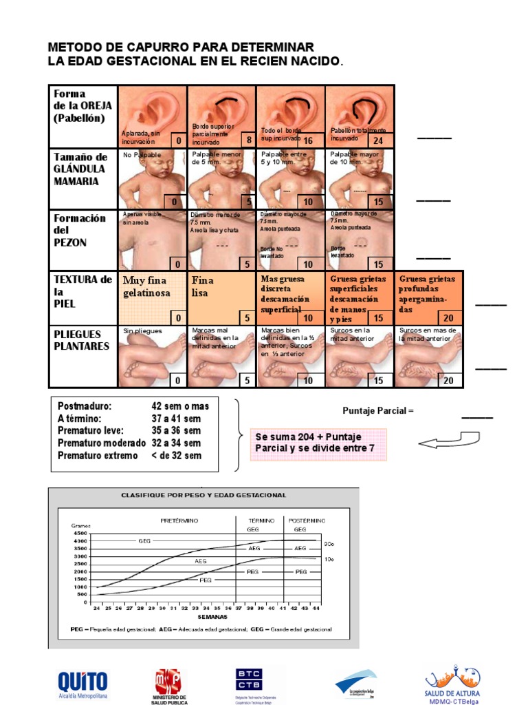 Metodo de Capurro Edad Gestacional Recien Nacido | PDF | Órgano (anatomía)