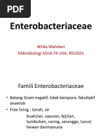 Gram Negative Rods: Oxidase Test | PDF | Gram Negative Bacteria ...