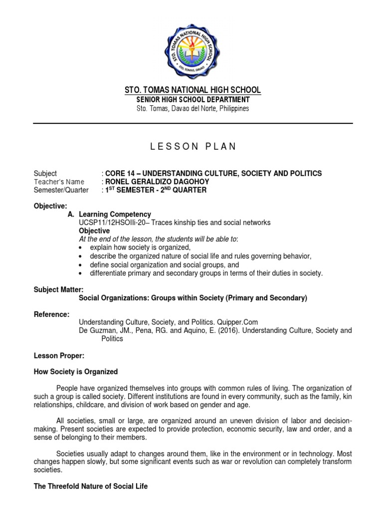 Lesson Plan Institutions | PDF | Social Group | Society