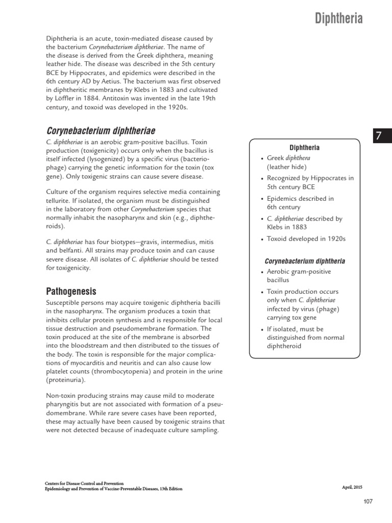 Understanding Diphtheria Disease and Risks | PDF | Immunology | Medicine
