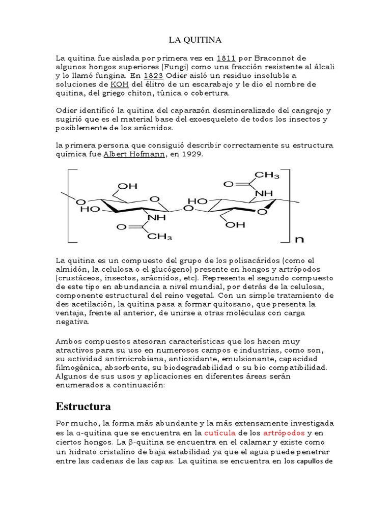 Quitina: Usos y Aplicaciones Innovadoras | PDF | Química | Productos ...