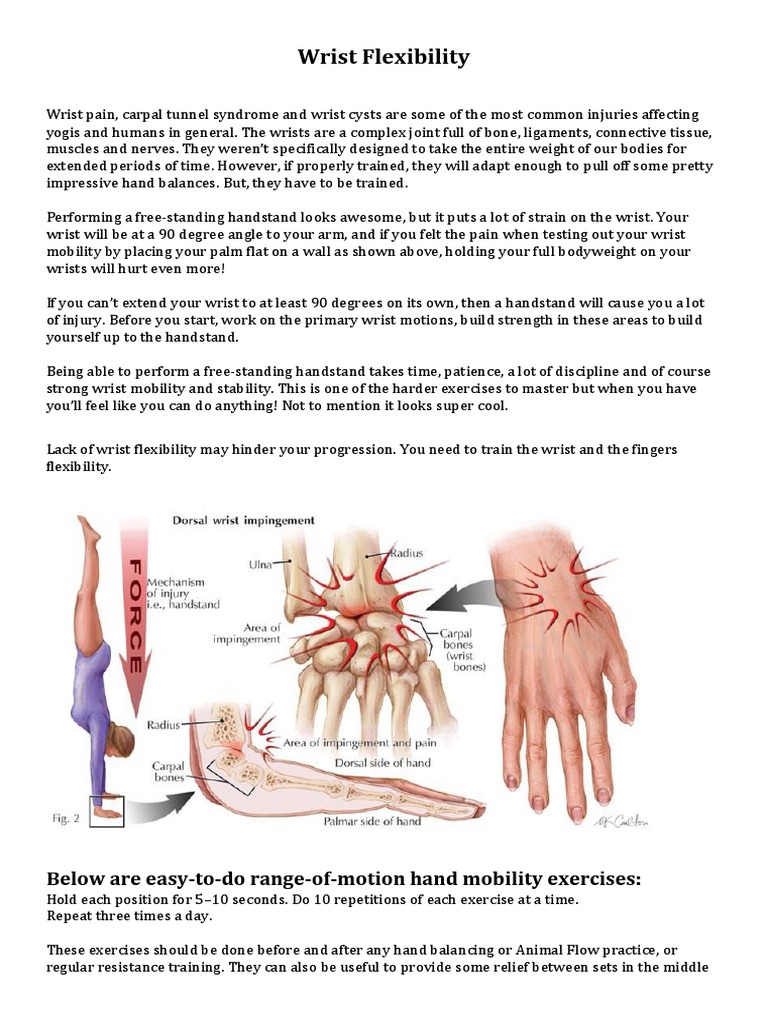 01 Wrist Mobility | PDF | Anatomical Terms Of Motion | Hand