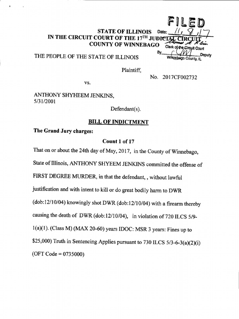 Jenkins Bill of Indictment | PDF