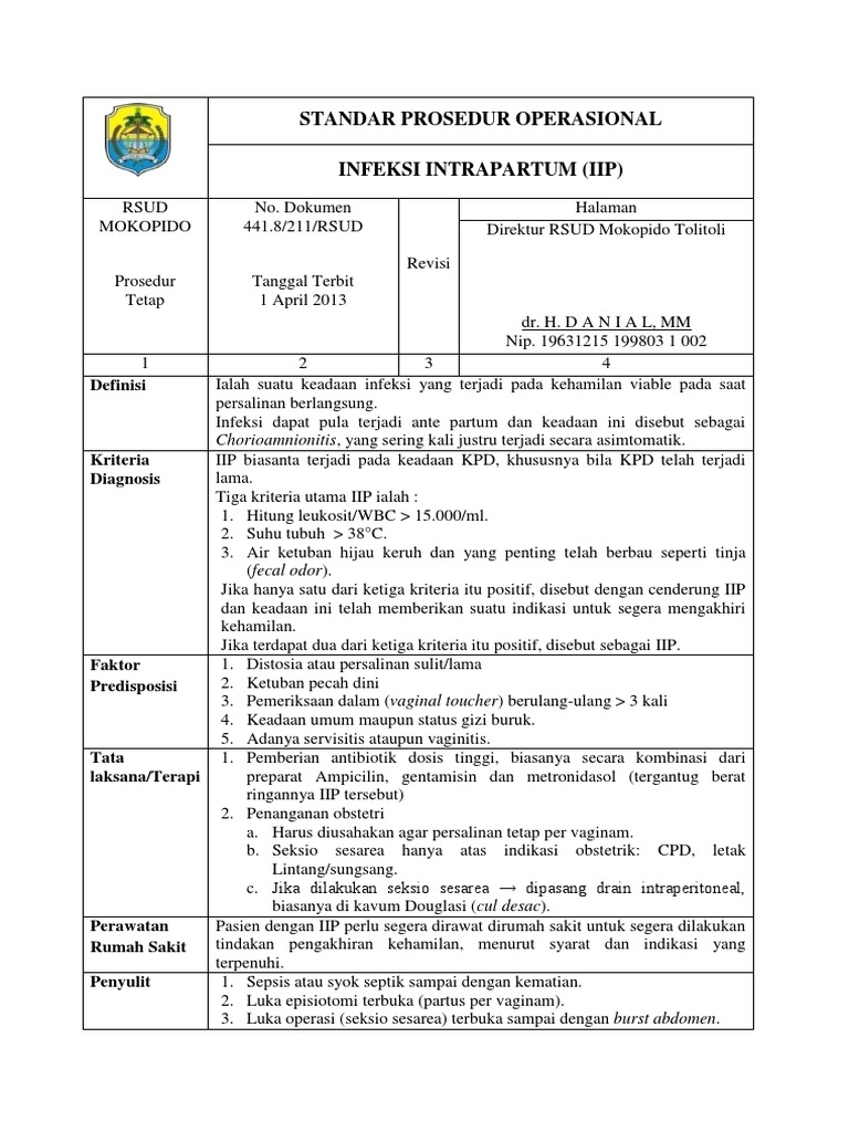 Infeksi Intrapartum (IIP) | PDF