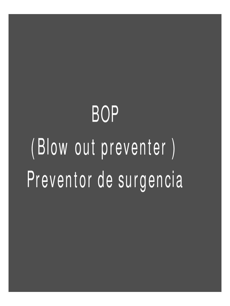 Tipos y Especificaciones de BOPs | PDF | Bomba | Memoria de acceso ...