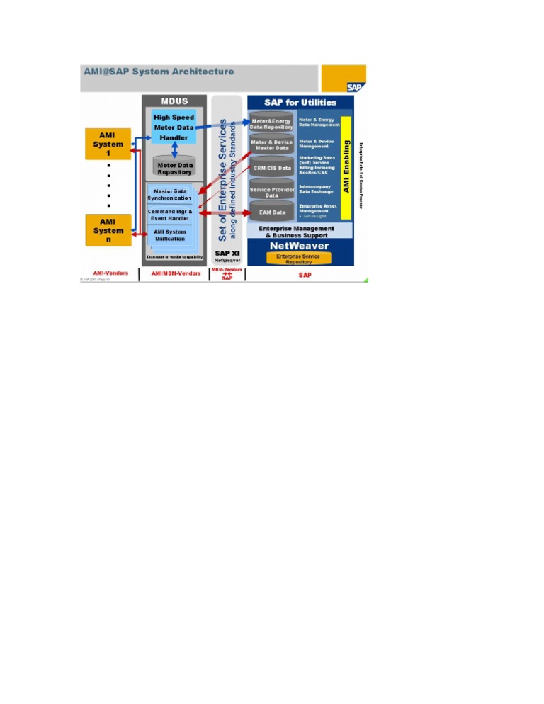 Sap Ami | PDF