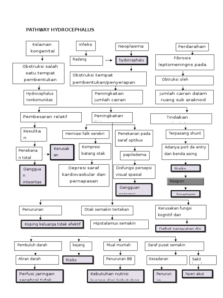 Pathway Hydrocephalus | PDF