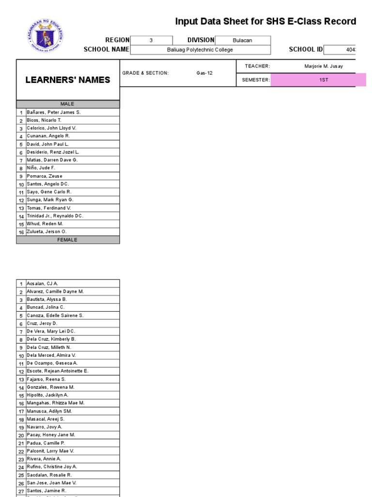 Learners' Names: Input Data Sheet For SHS E-Class Record | PDF | Educational Institutions | Academia