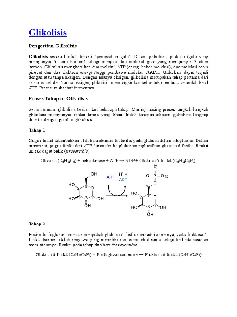 Glikolisis | PDF