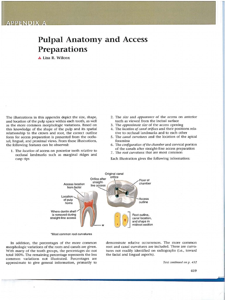 Pulpa Anatomy and Access | PDF
