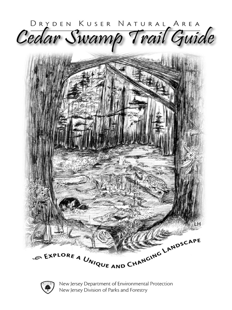 Cedar Swamp Trail Booklet Web2 | PDF | Moss | Botany