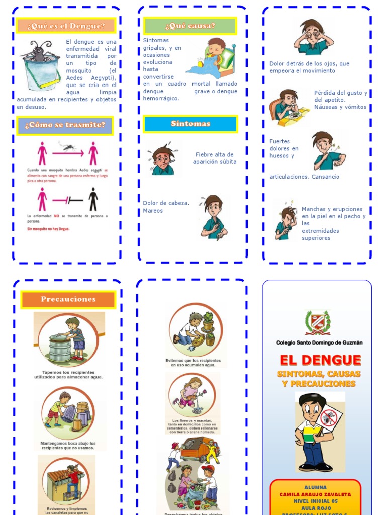 Triptico Dengue Camila | PDF