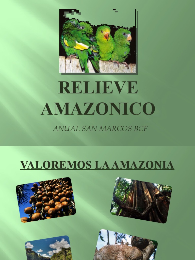 Relieve Amazónico del Perú | PDF | Selva amazónica | Perú
