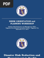 3 - Introduction To DRRMIS | PDF | Information Science | Software