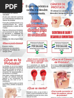 Tríptico de Cáncer de Próstata. | PDF | Cancer de prostata | Cáncer