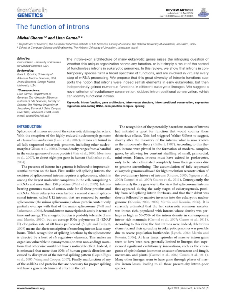 The Function of Introns: Michal Chorev and Liran Carmel | PDF | Intron ...