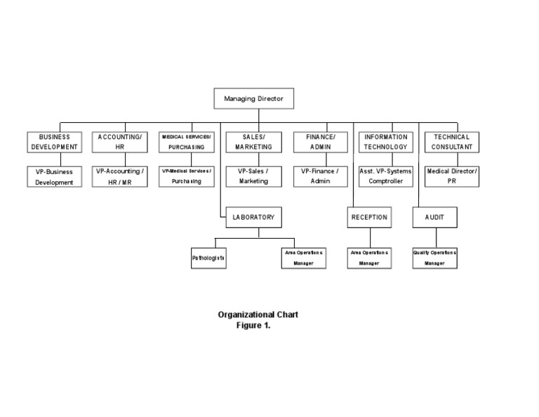 Managing Director: Organizational Chart | PDF